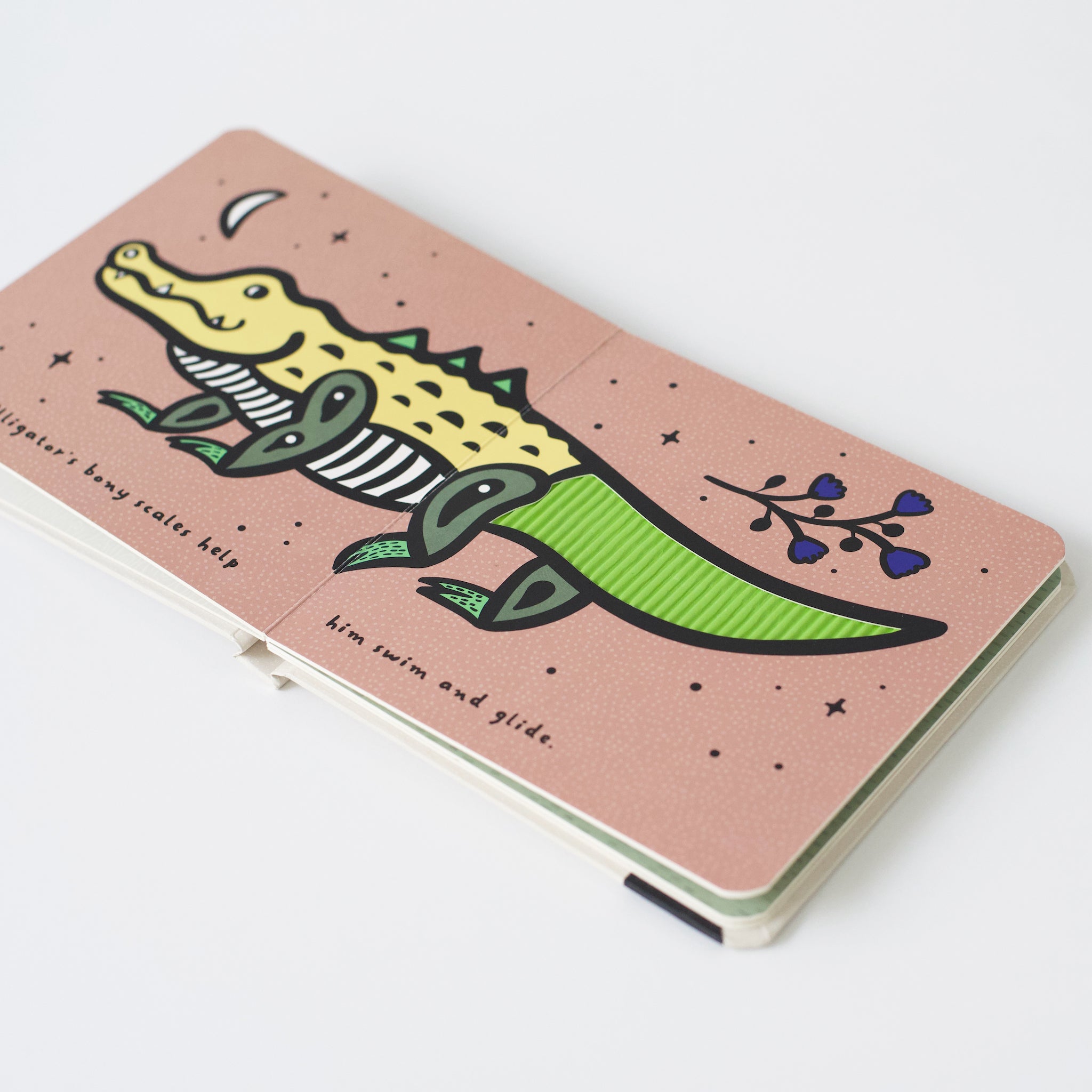 Wee Gallery Touch and Feel: Scales