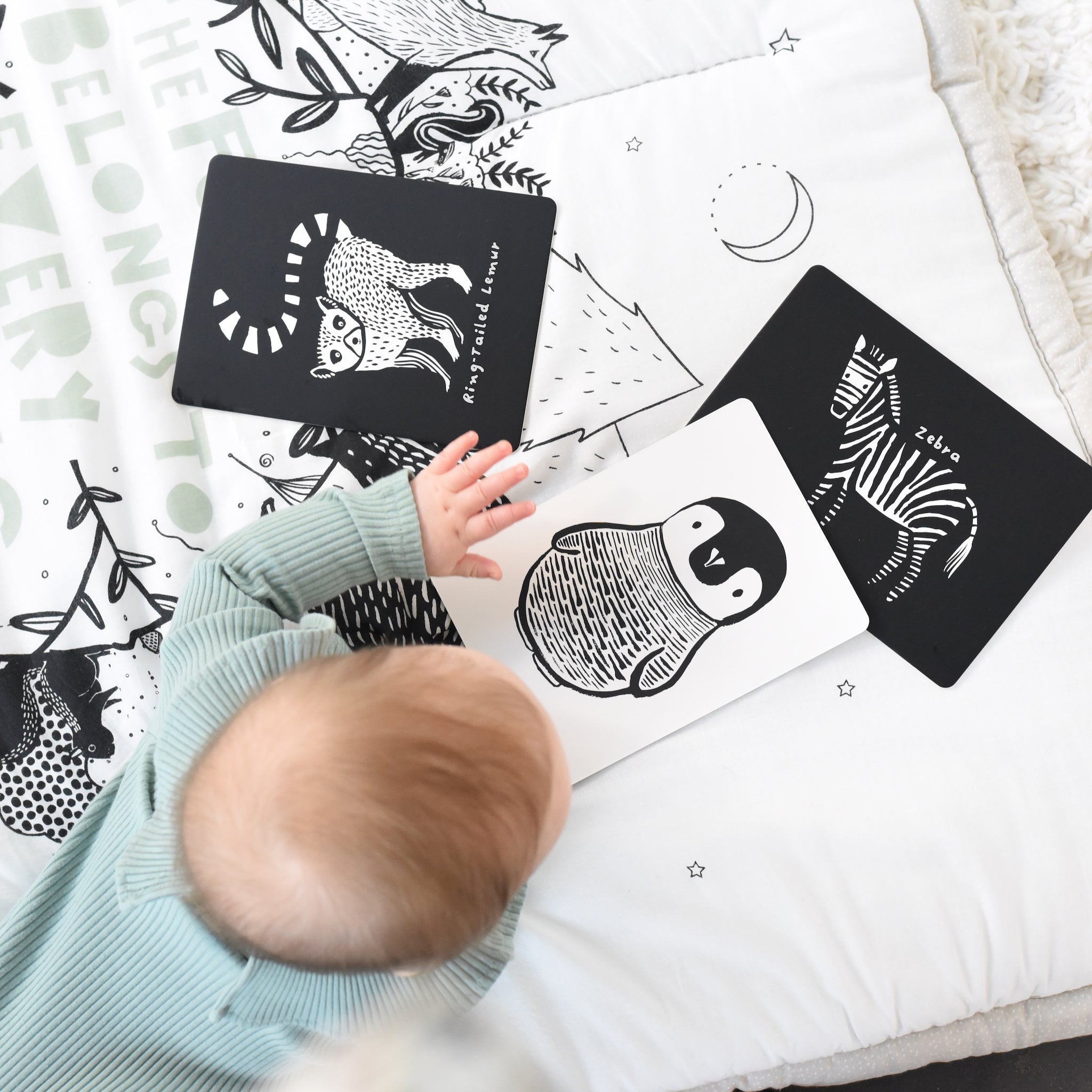 Art Cards for Baby, Newborn, Infant - High Contrast Black & White ...