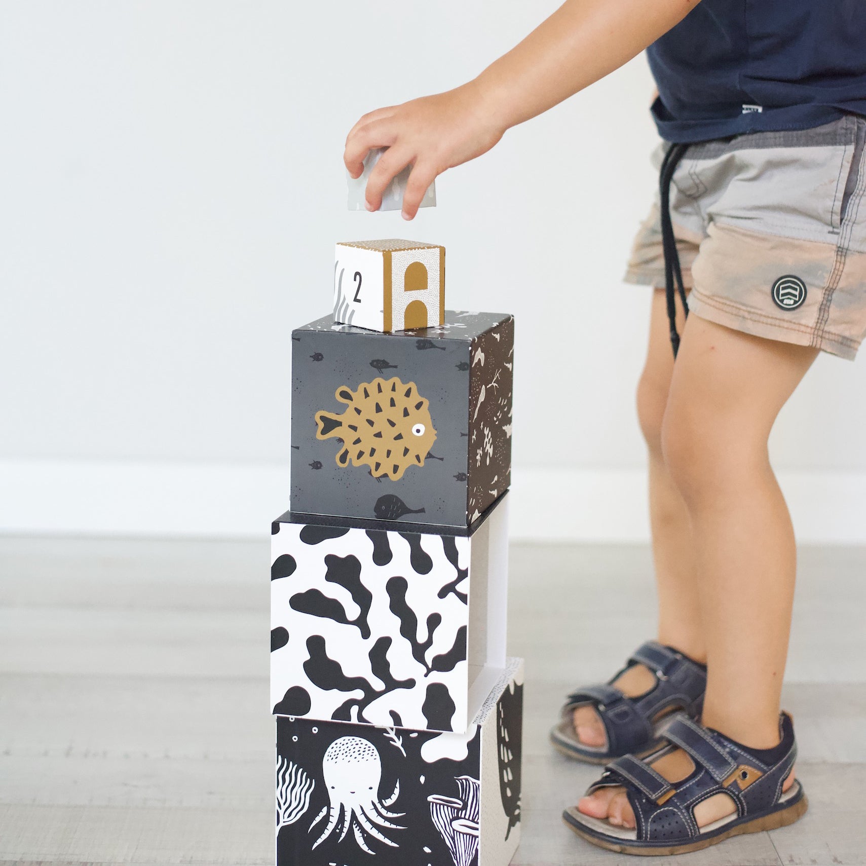 Wee Gallery Nesting Blocks - Ocean Animals | Smart Art for Growing Minds