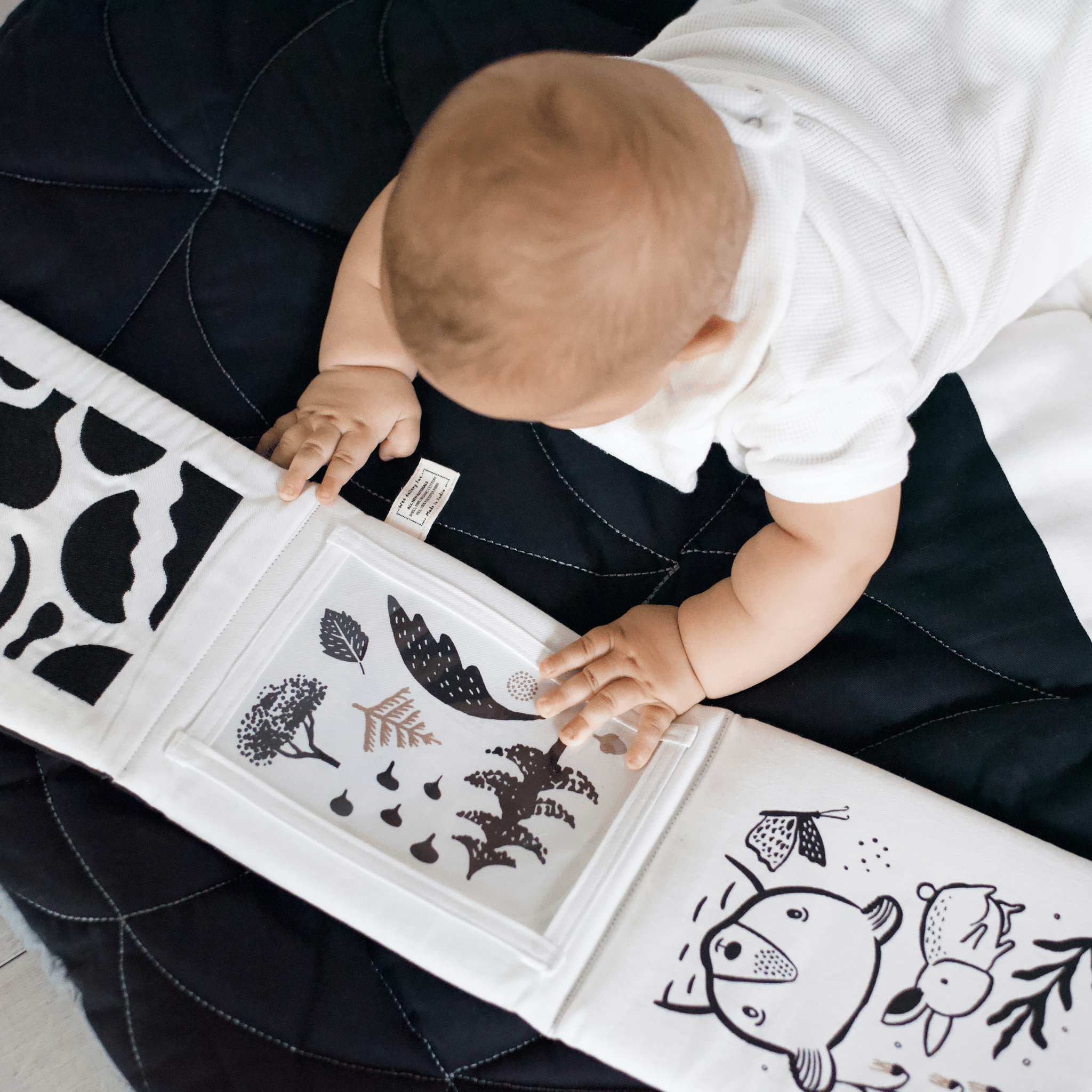 Developmental Bundle for Baby - Ocean – Wee Gallery