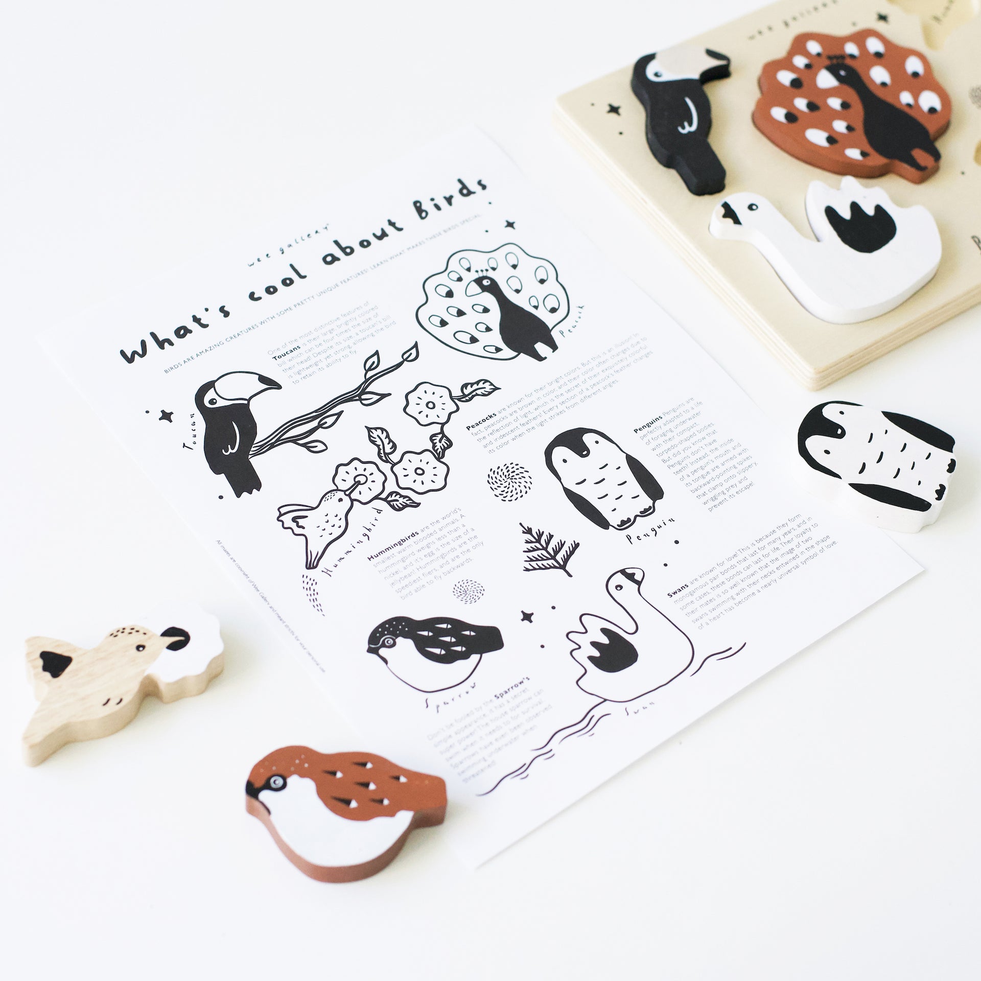 kids-homeschool-activities-free-printables-bird-week – Wee Gallery