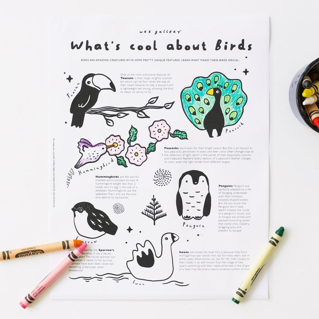 kids-homeschool-activities-free-printables-bird-week – Wee Gallery
