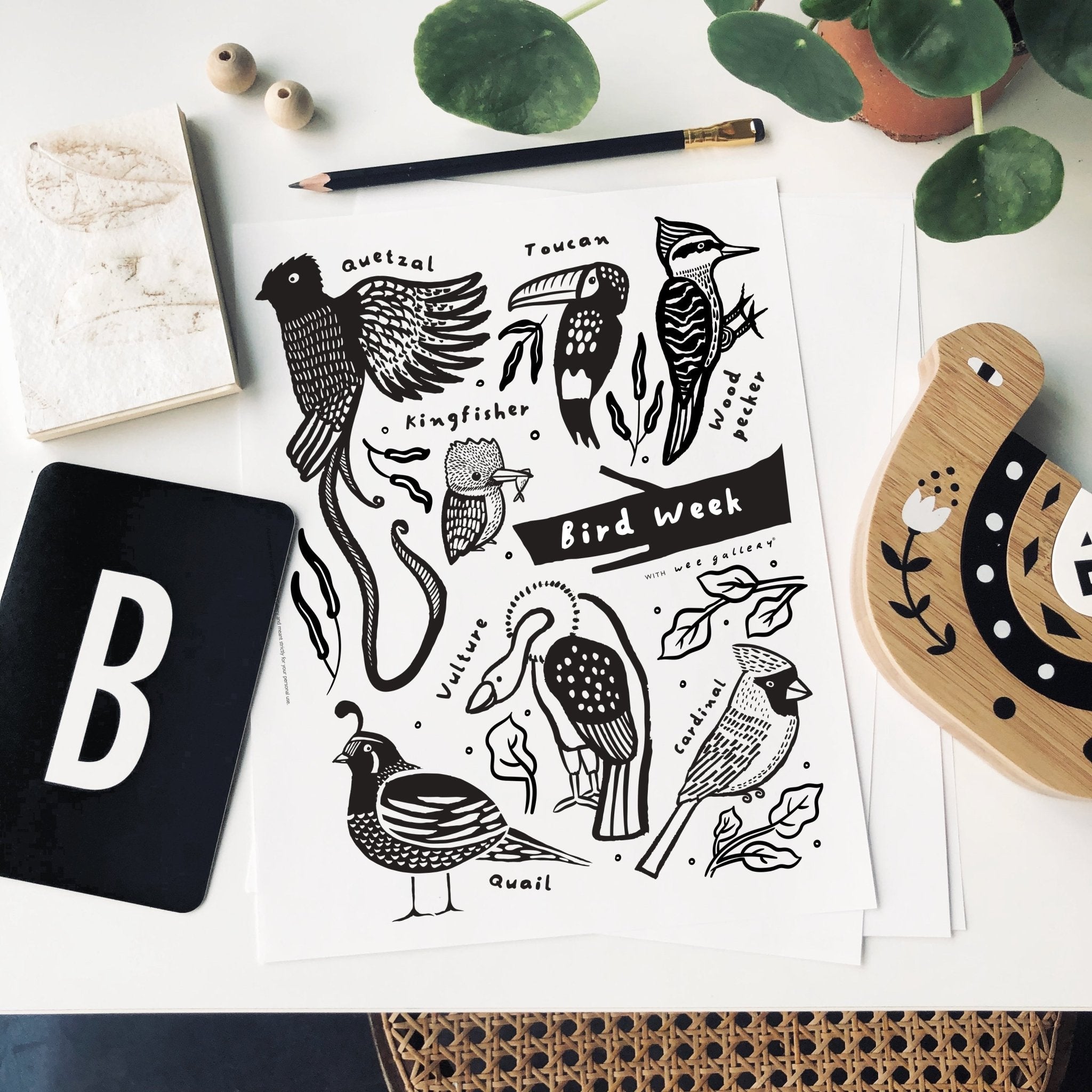 kids-homeschool-activities-free-printables-bird-week – Wee Gallery