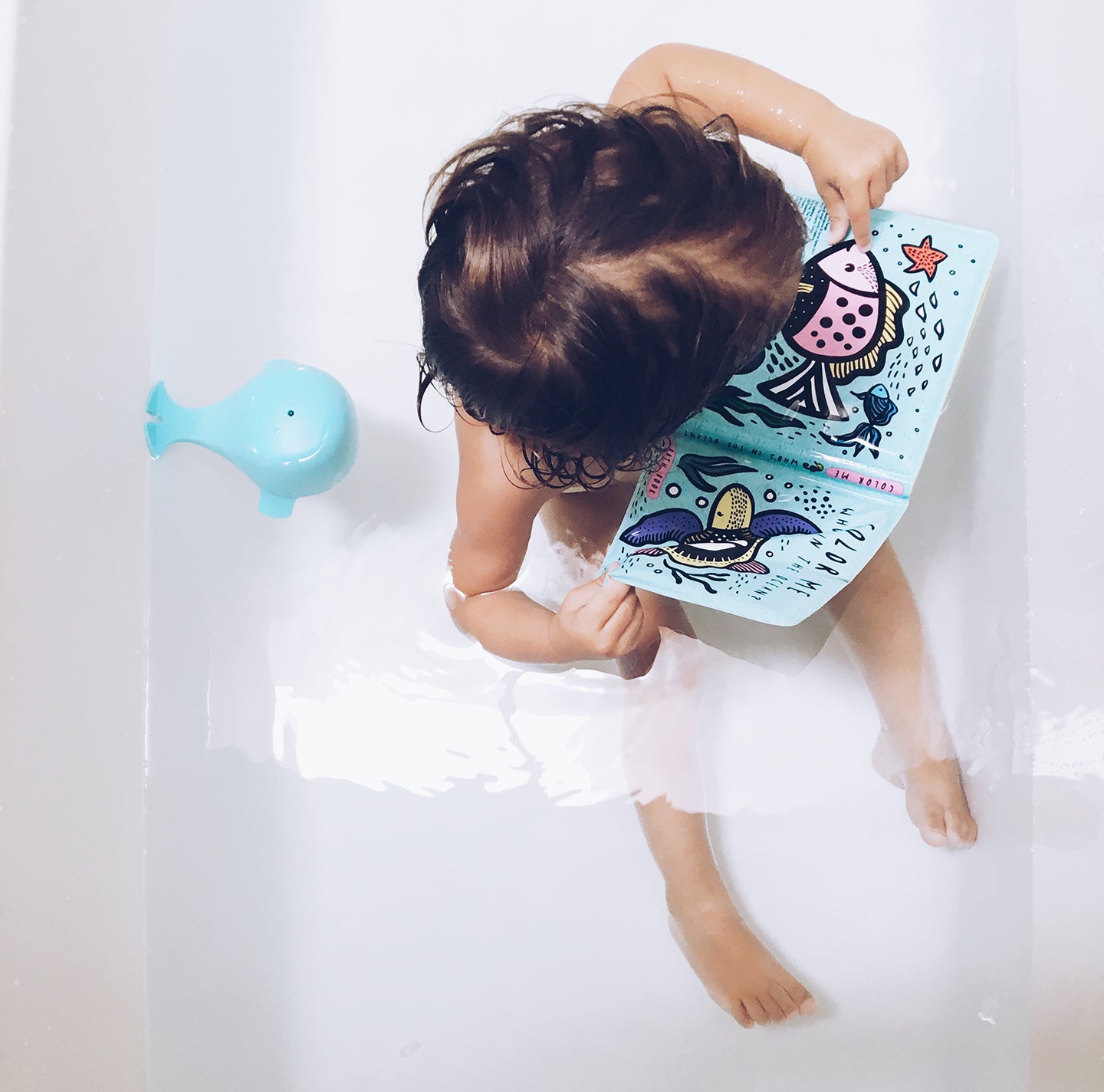 Wee Gallery Color Me Who's in the Ocean Bath Book | Smart Art for Kids