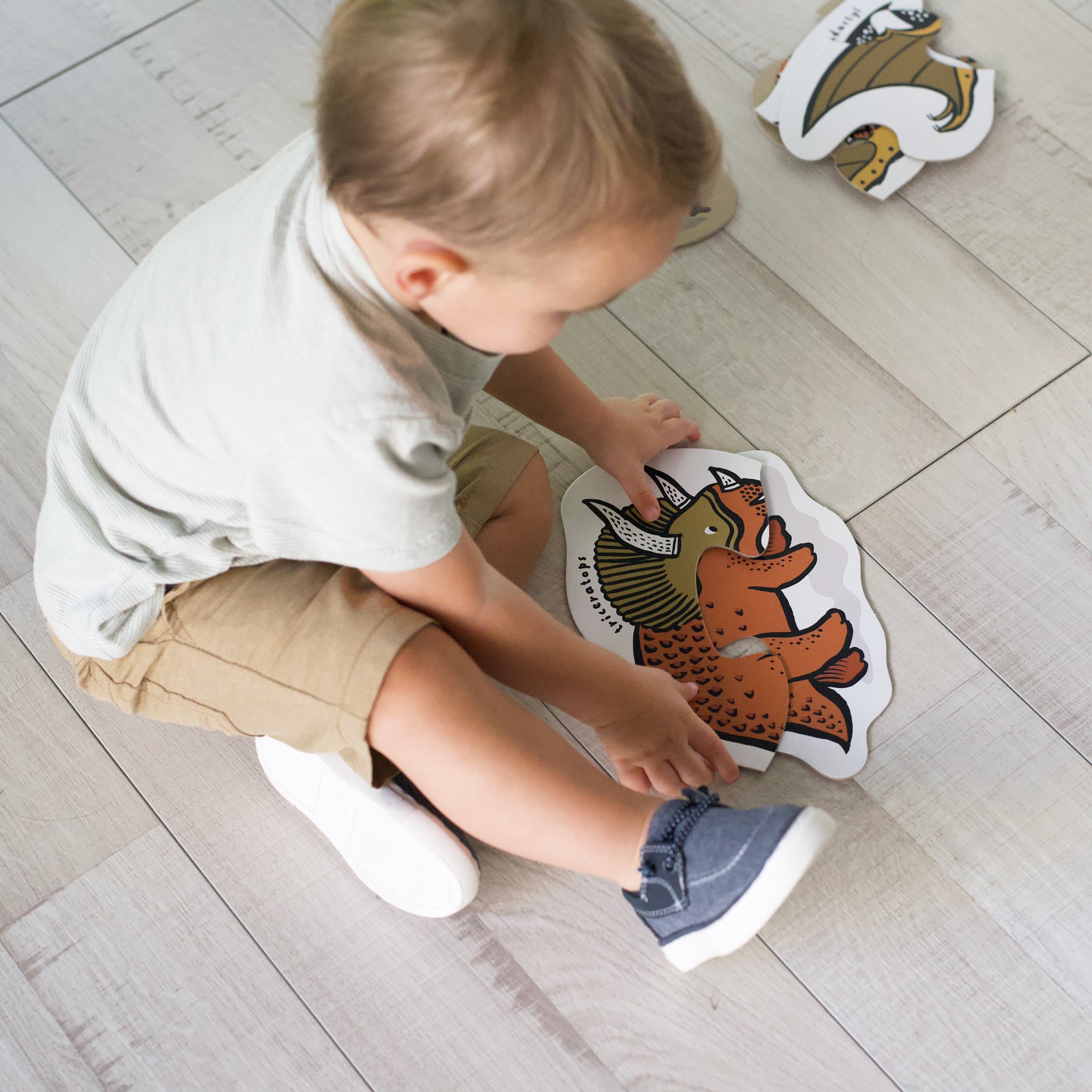 Beginner Puzzle Set Dinos - Activities for Toddlers & Preschool Kids ...