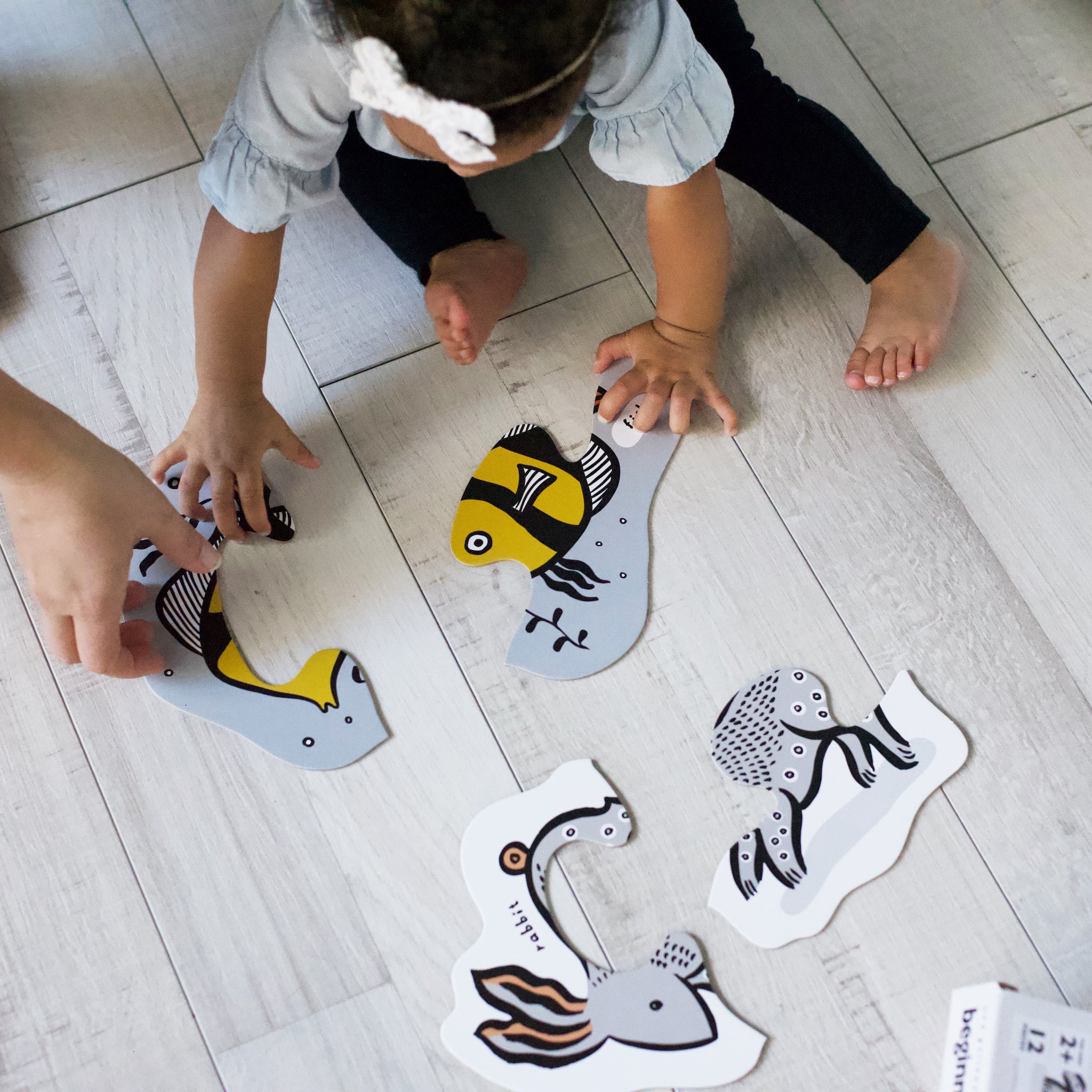 Pets Explorer Bundle – Wee Gallery