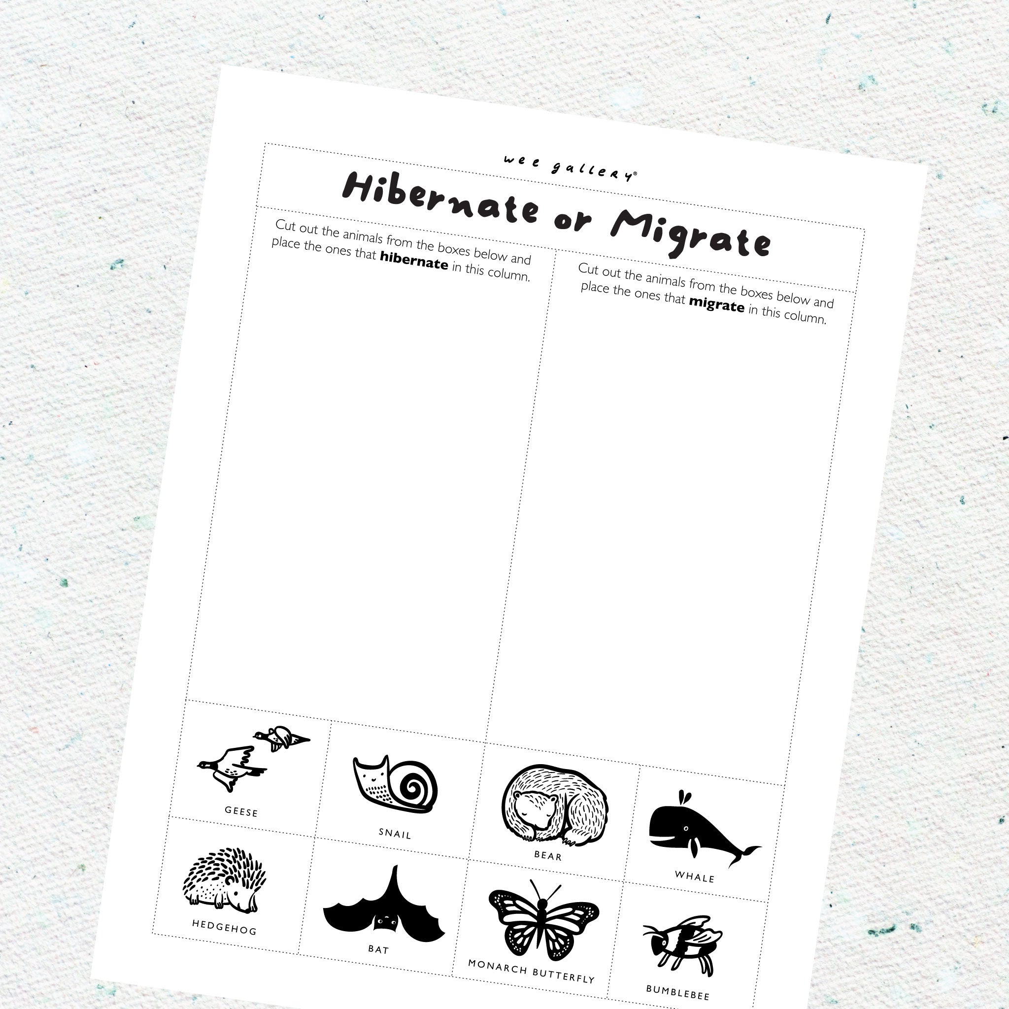 Hibernation - Four Free Activity Pages for Kids – Wee Gallery