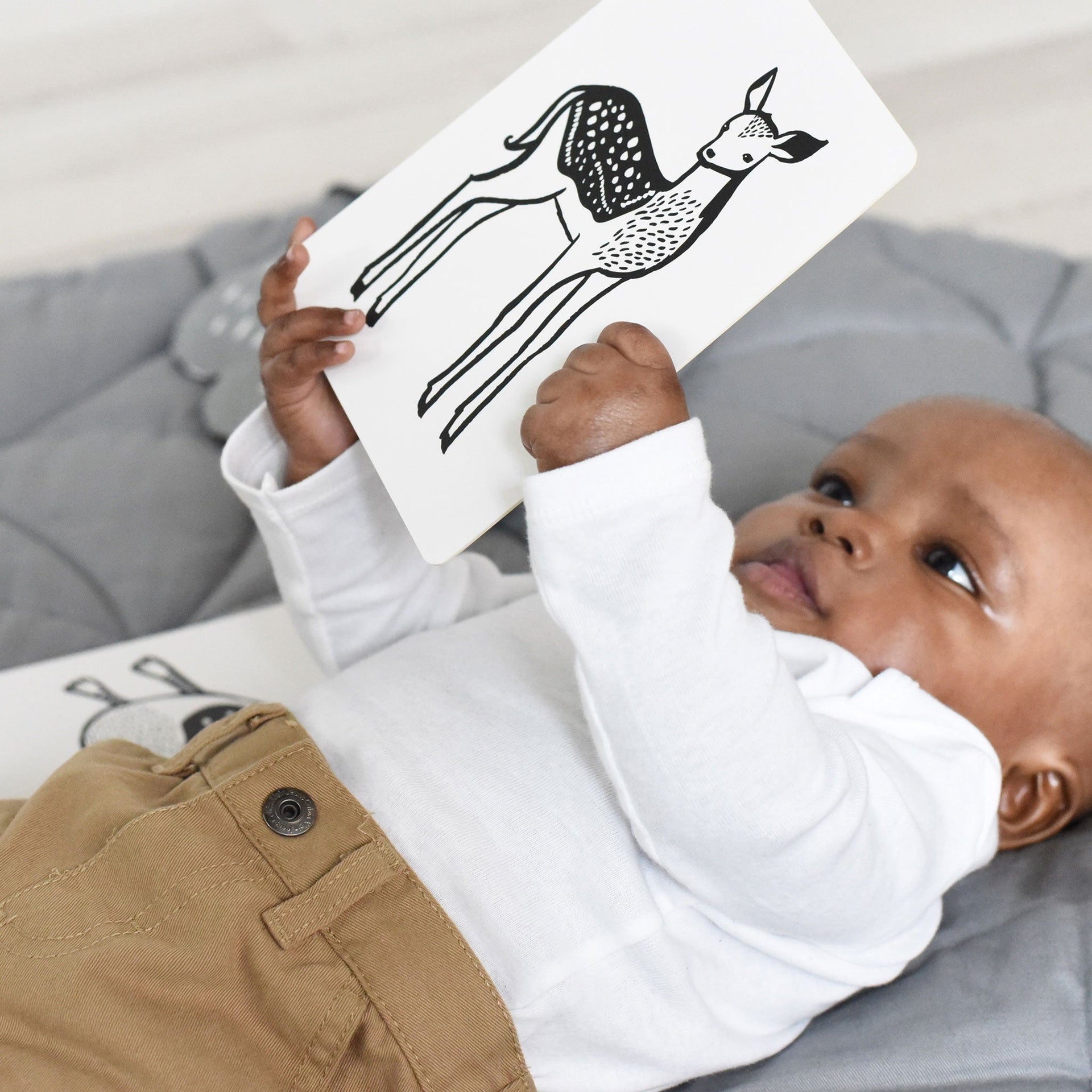 Art Cards for Baby, Newborn, Infant - High Contrast Original Animals ...