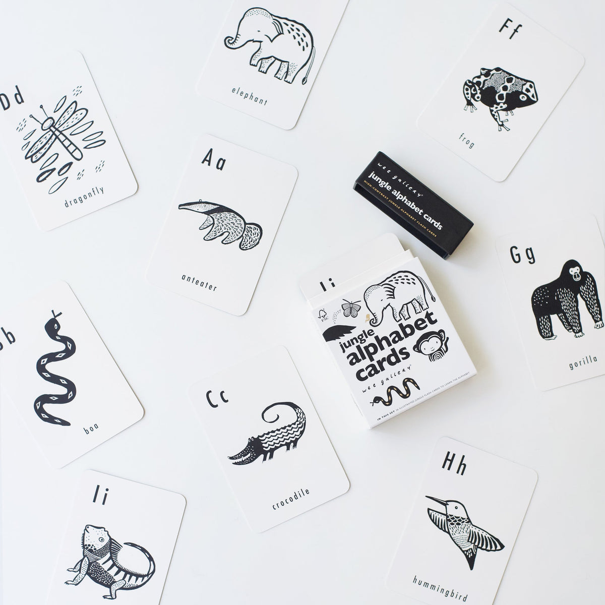 Jungle Alphabet Cards – Wee Gallery