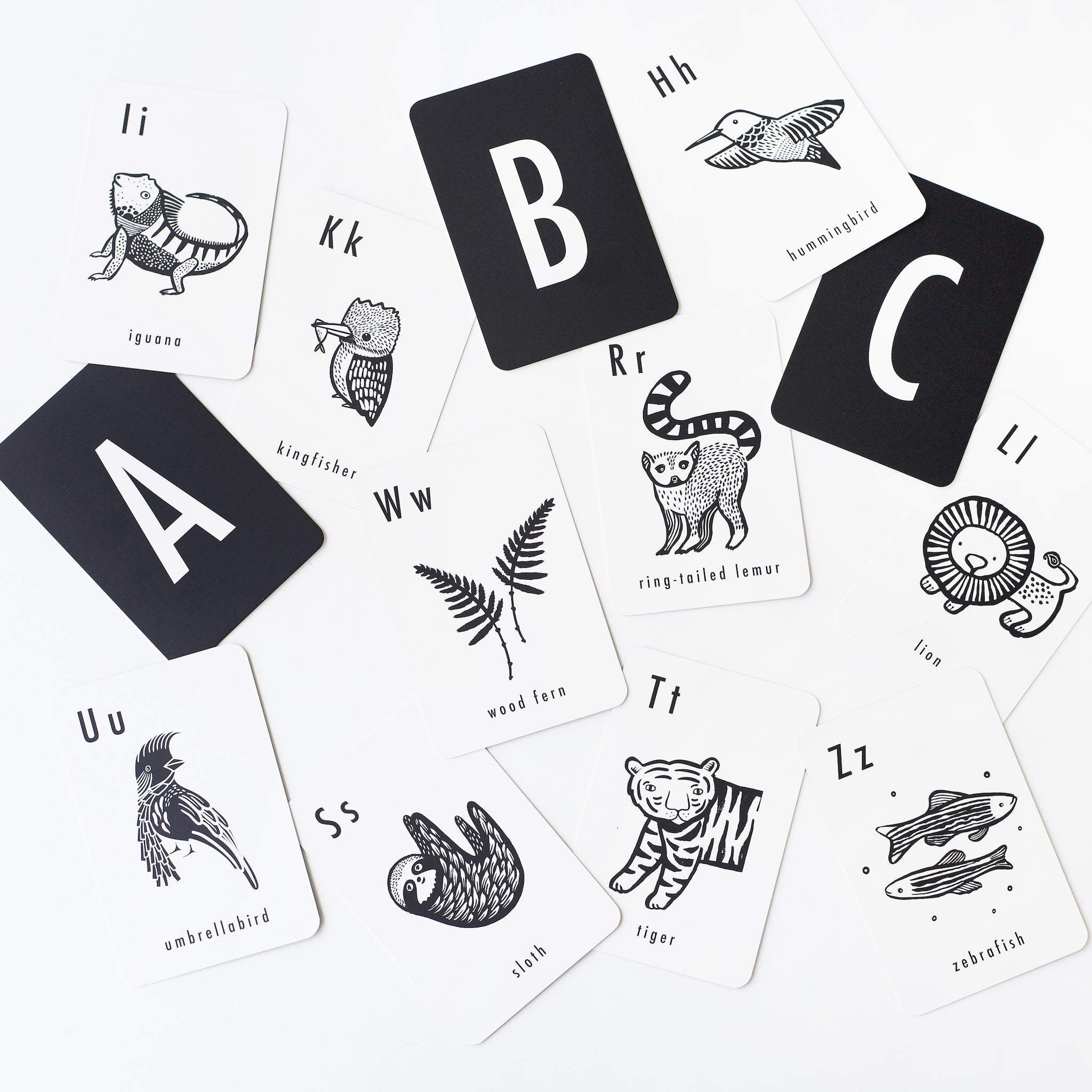 Jungle Alphabet Cards – Wee Gallery