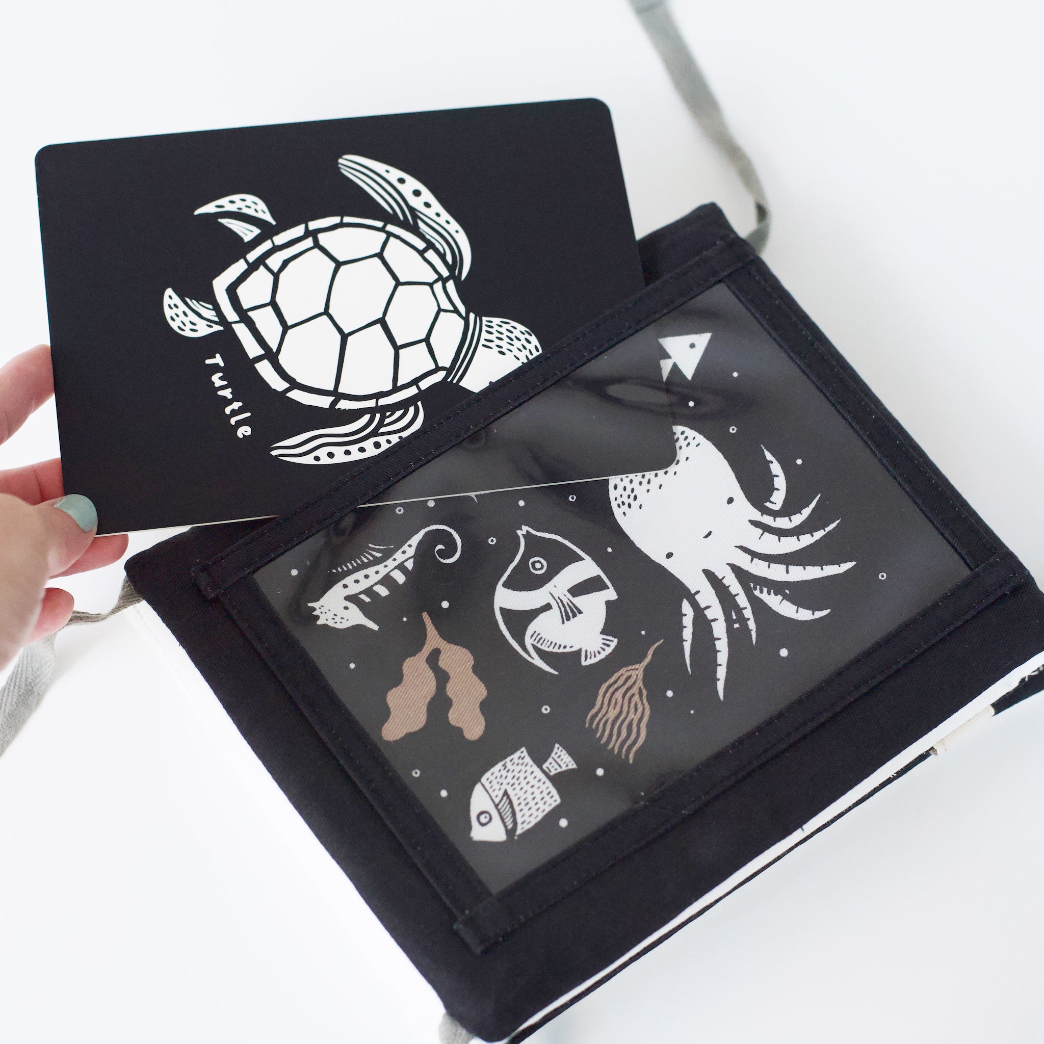 Tummy Time Gallery – Wee Gallery